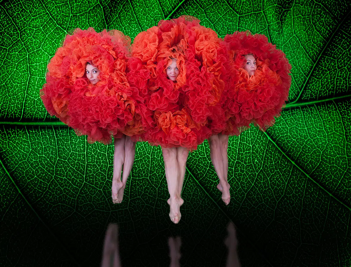 MOMIX | Vilar Performing Arts Center